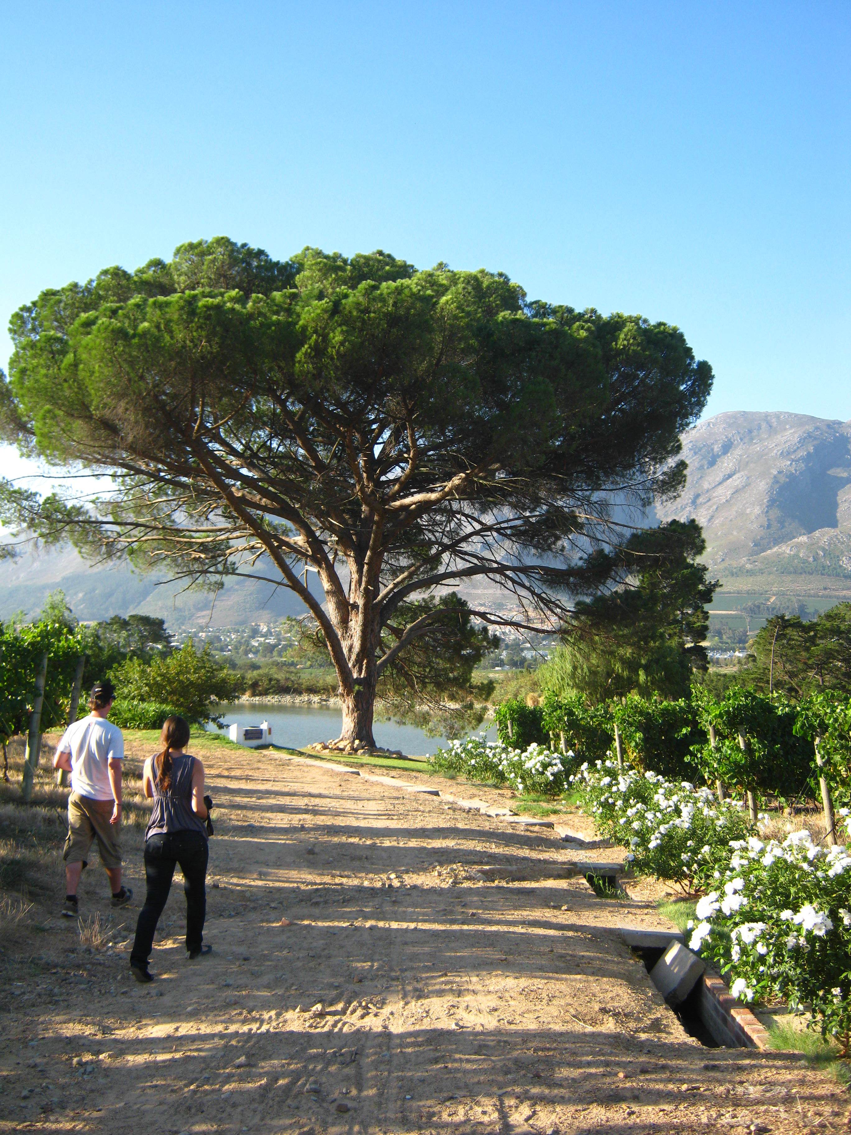 xxxz – Prof. Me Anderson HanderProf. Me Anderson Hander